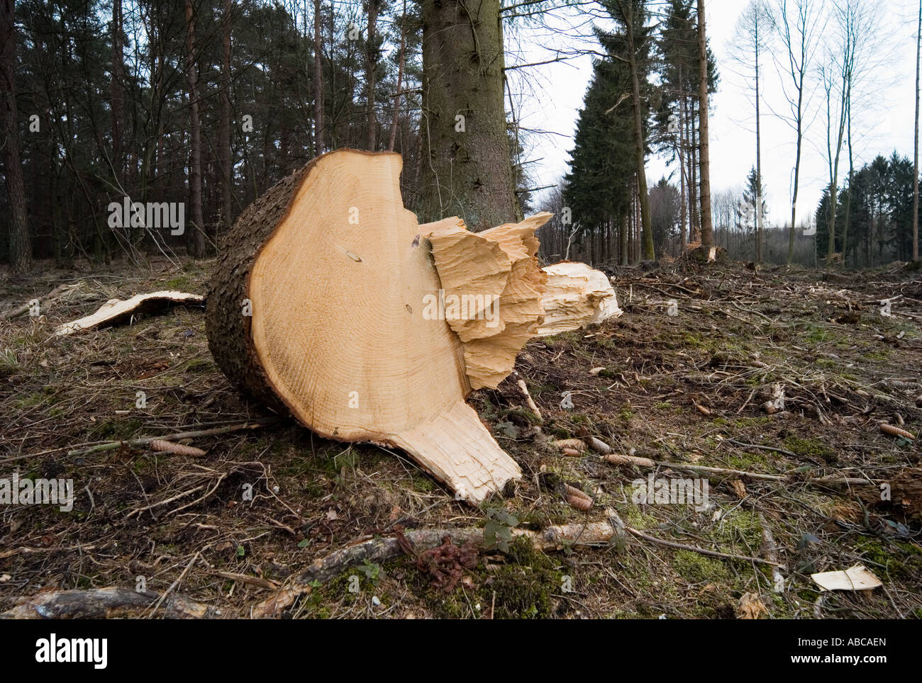 Kyrill sturm hi-res stock photography and images - Alamy
