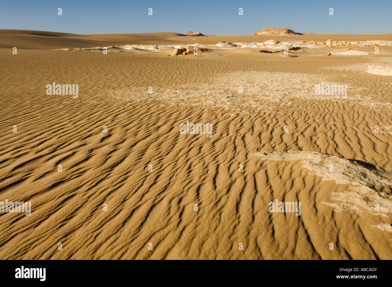 dunes, the Great Sand Sea, Western desert near Siwa oasis, Egypt Stock ...