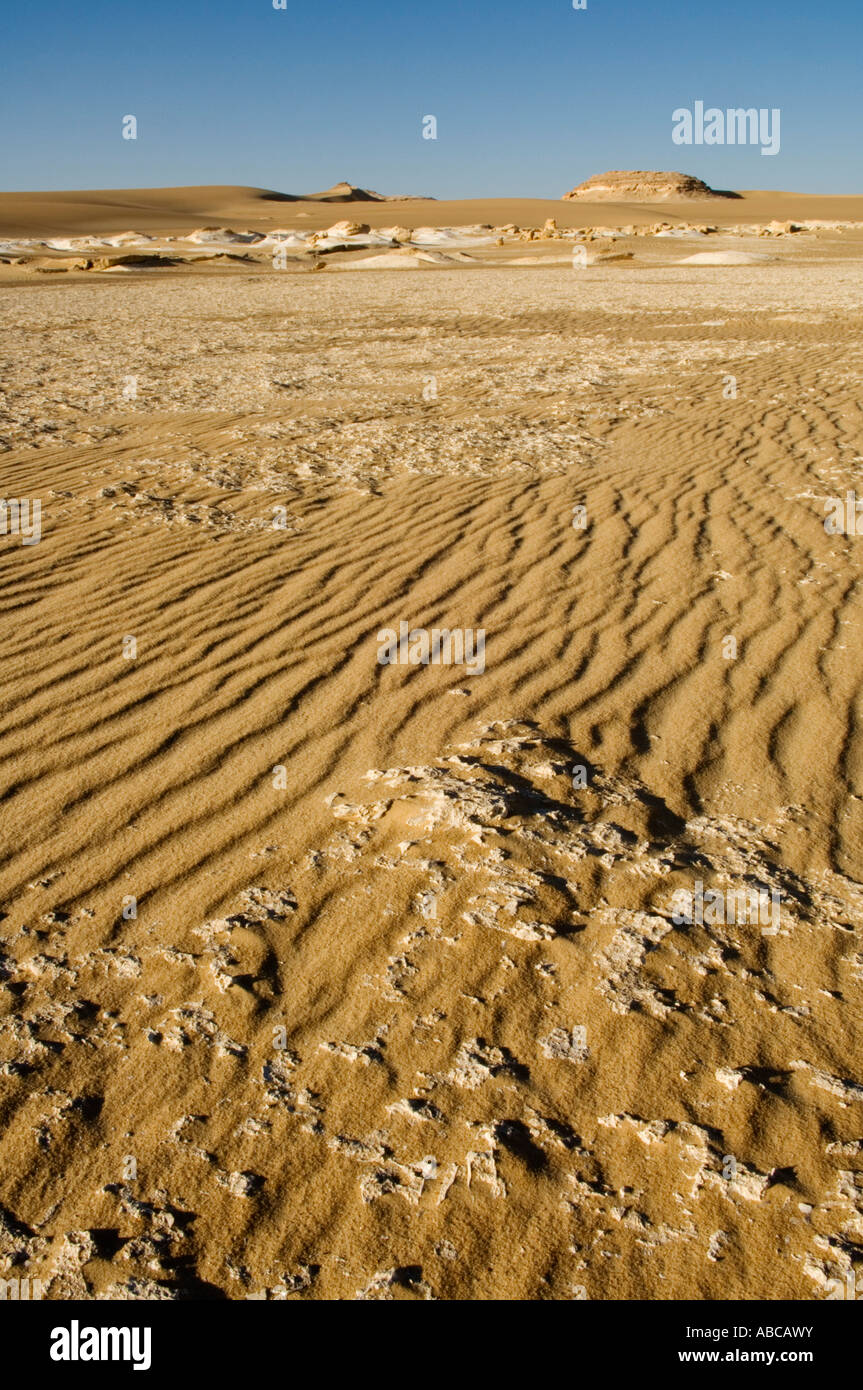 dunes, the Great Sand Sea, Western desert near Siwa oasis, Egypt Stock ...