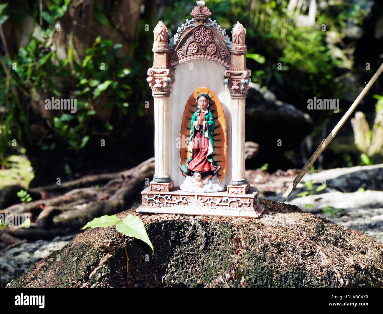 small mexican virgin mary altar posed on a rock in the yucatan jungle ...