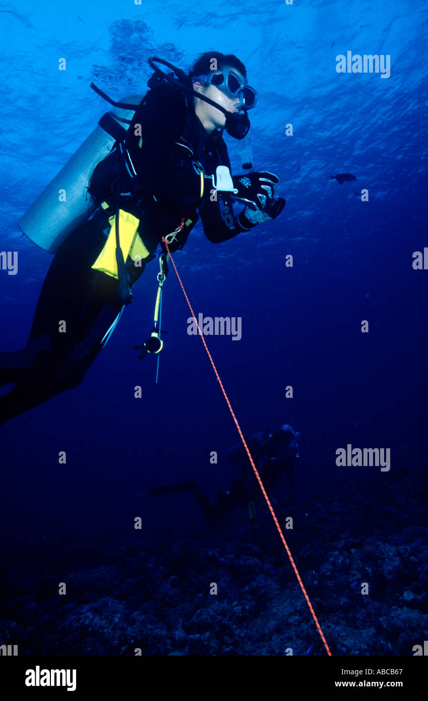 Ngemelis wall hi-res stock photography and images - Alamy