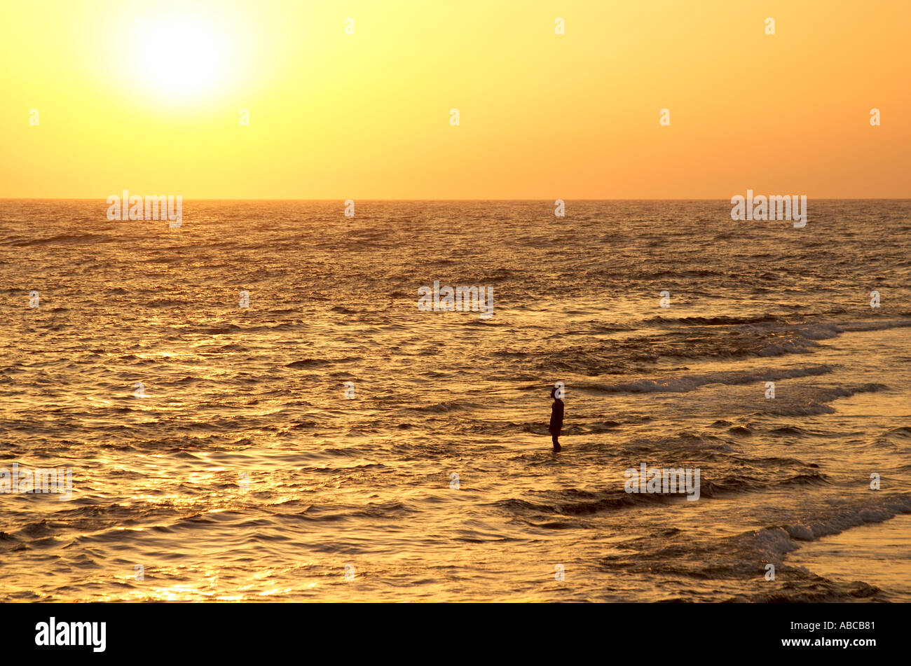 Man standing on coral reef Brother Islands Red Sea Egypt Stock Photo ...