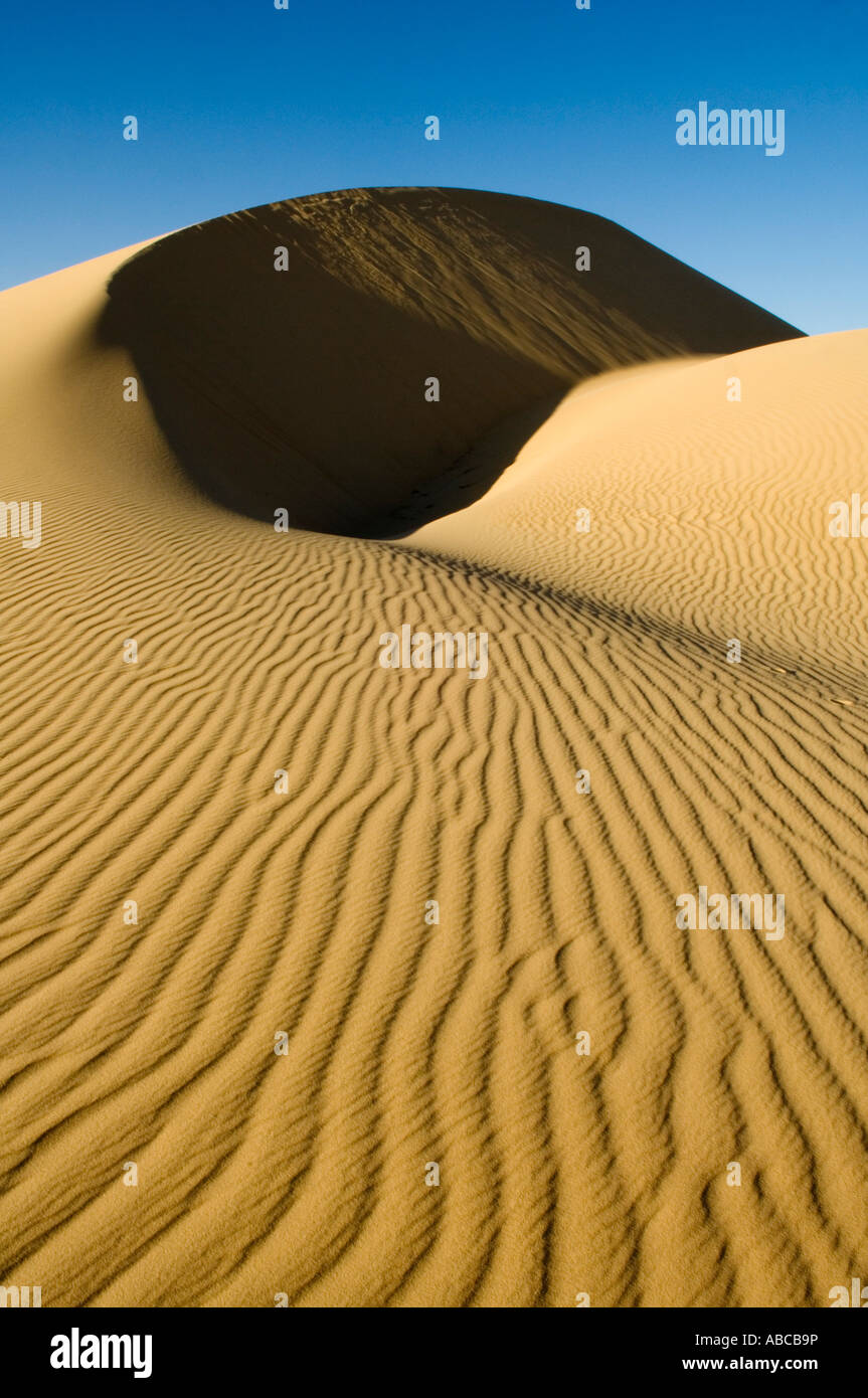 dunes, the Great Sand Sea, Western desert near Siwa oasis, Egypt Stock ...