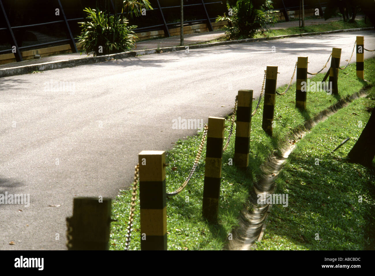A grassy path Stock Photo - Alamy