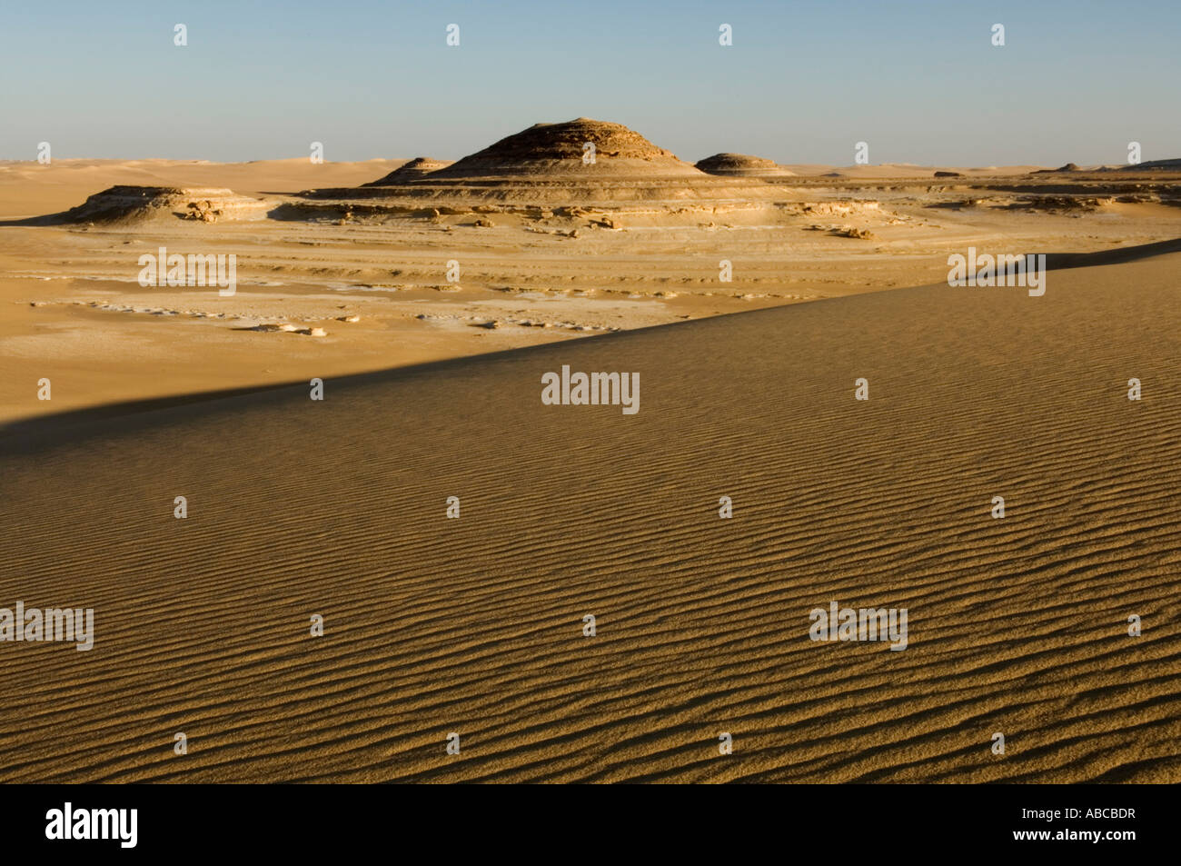 dunes, the Great Sand Sea, Western desert near Siwa oasis, Egypt Stock ...