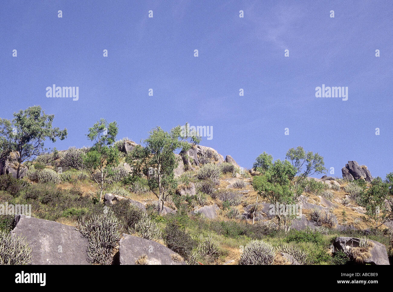 Mount Abu, a hill station. Rajasthan, India Stock Photo - Alamy