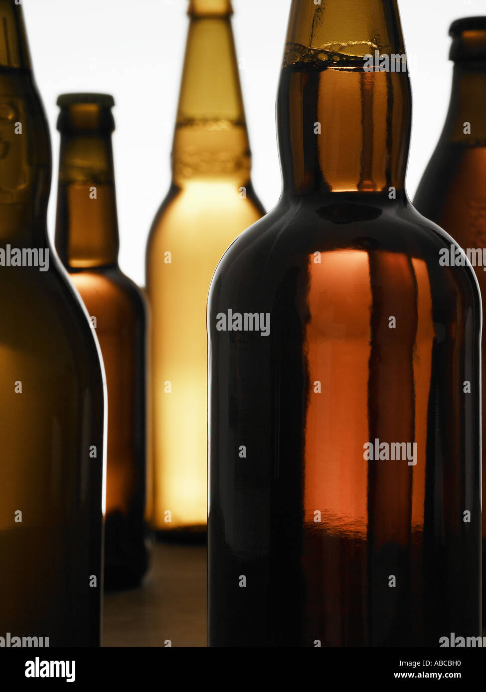 Beer bottles shot with Hasselblad medium format pro digital Stock Photo ...