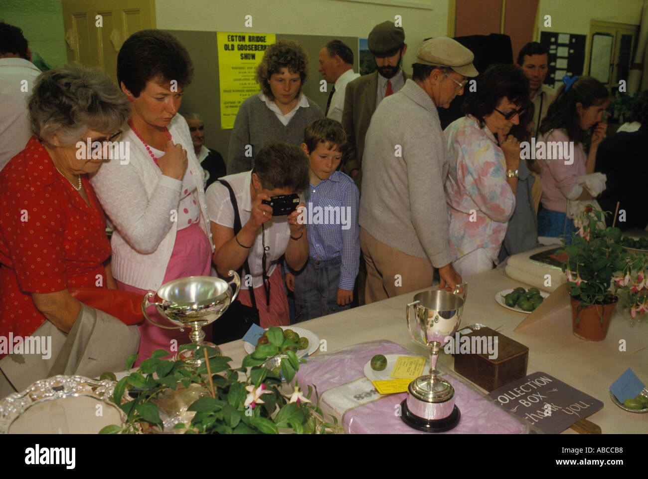 Village Show prize winning gooseberries are displayed and the Silver ...