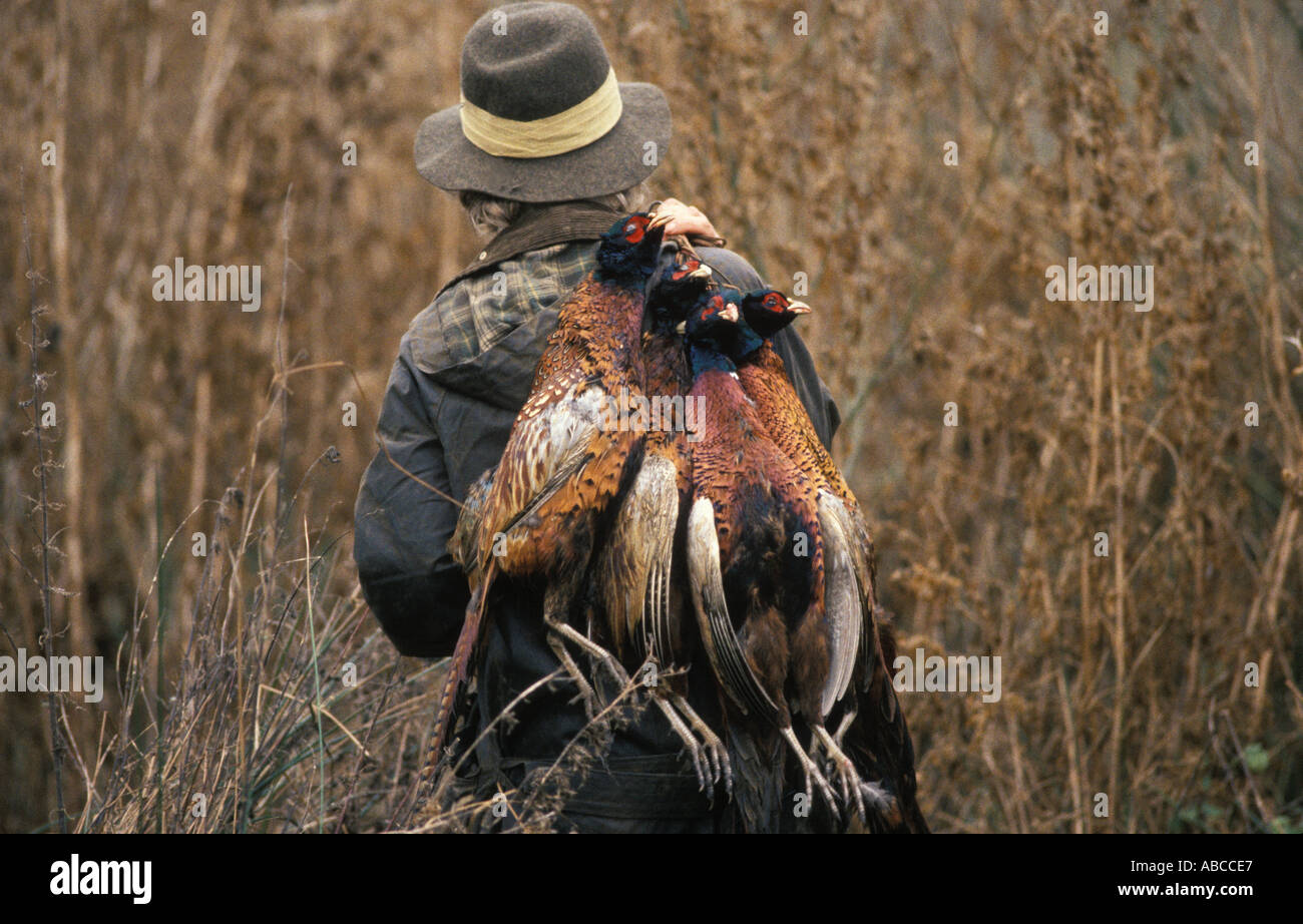 Game Bird Shoot 1985 UK. Shooting Pheasants game bird shoot Burley on ...