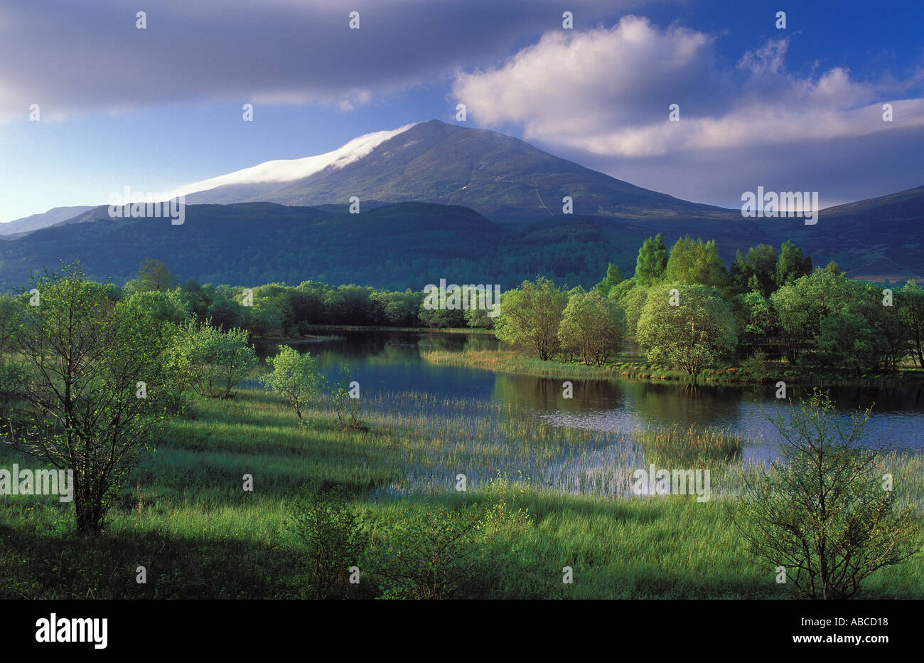 Mount Schiehallion Perthshire Scottish Highlands Scotland UK Stock ...