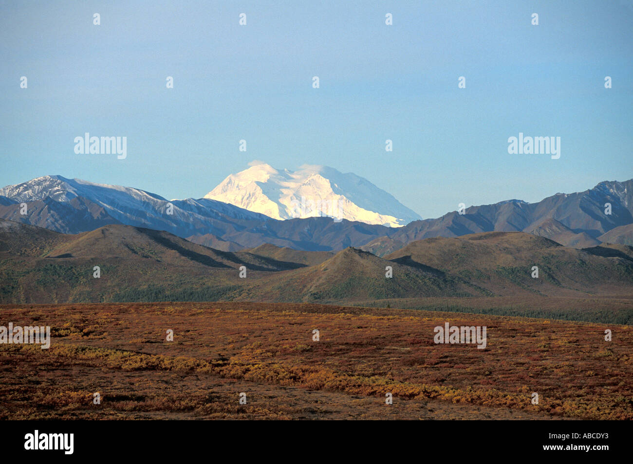 Alaska Denali National Park Mount McKinley Stock Photo - Alamy