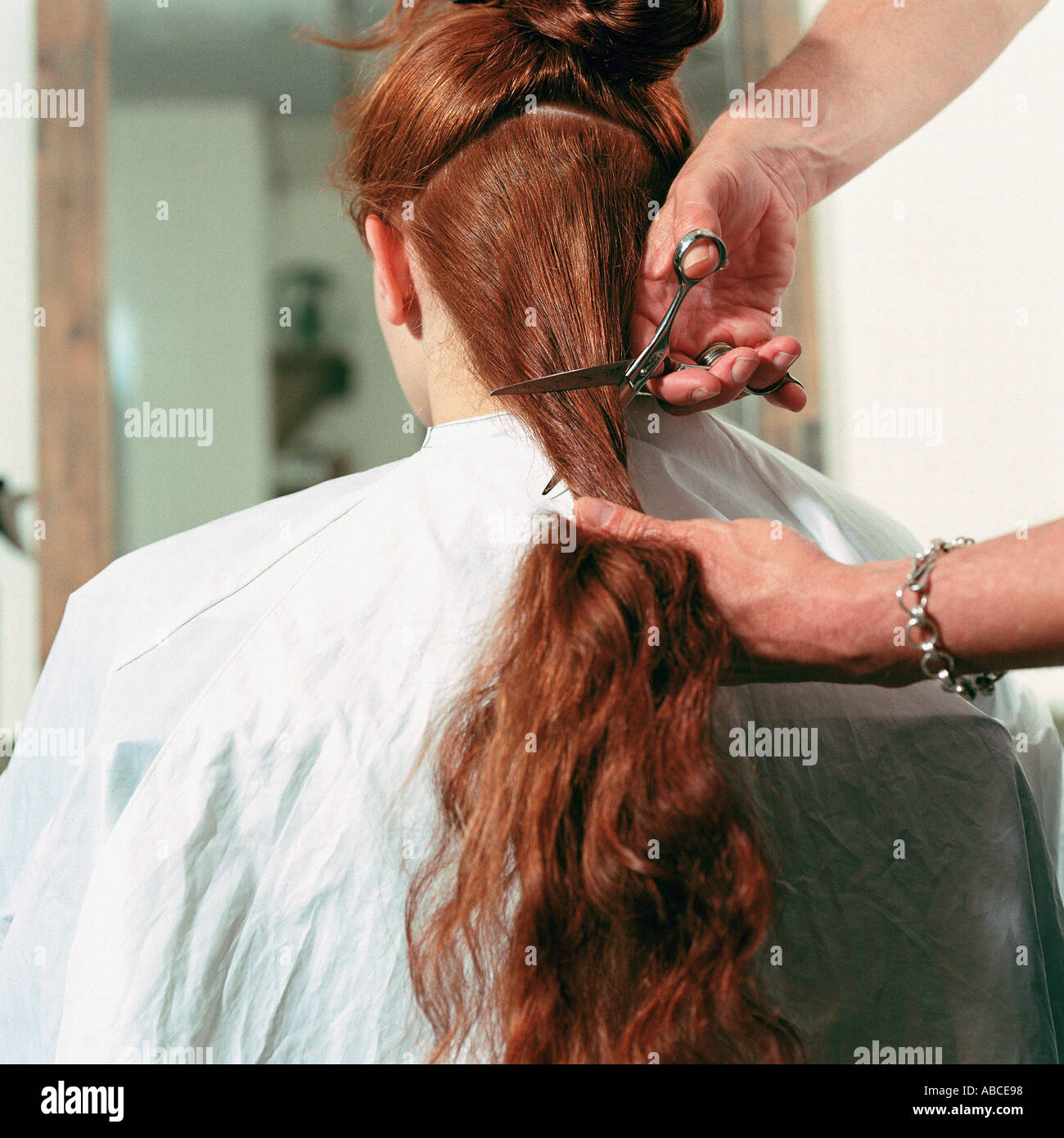 Woman having haircut Stock Photo - Alamy