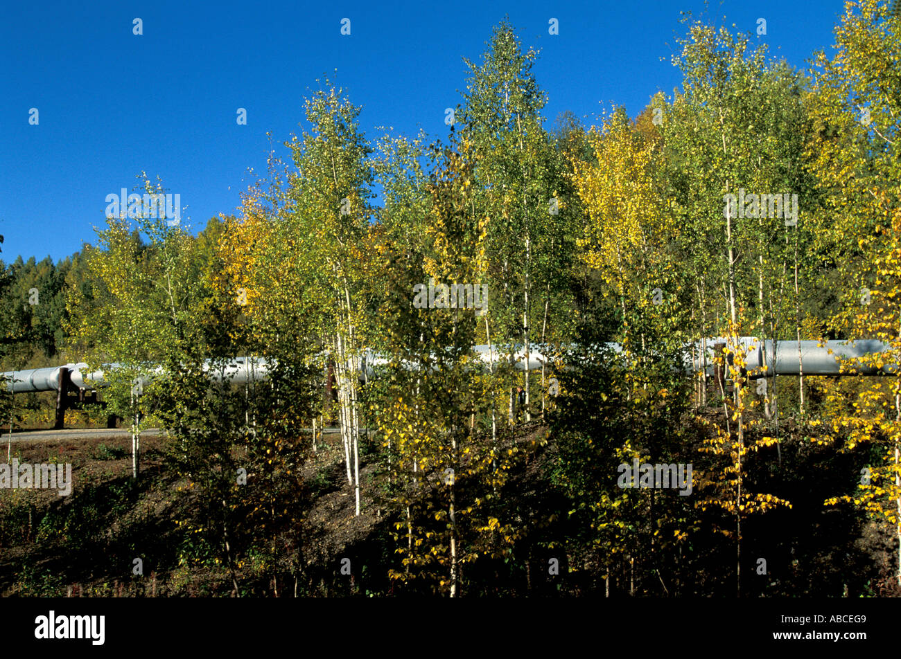 Alaska trans alaska oil pipeline Stock Photo - Alamy