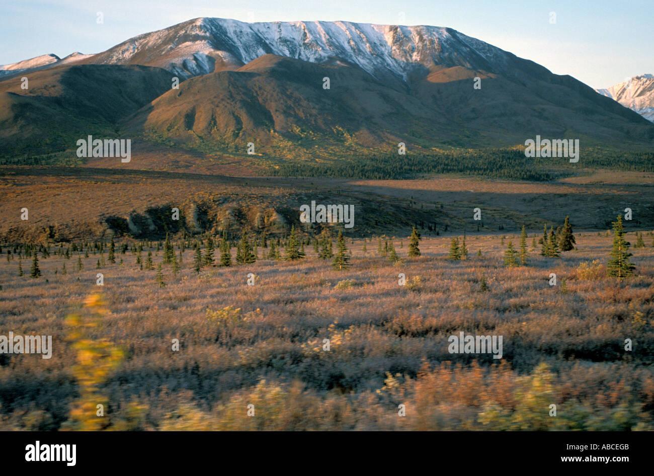 Alaska fall colors snow trees mountain tundra Stock Photo - Alamy