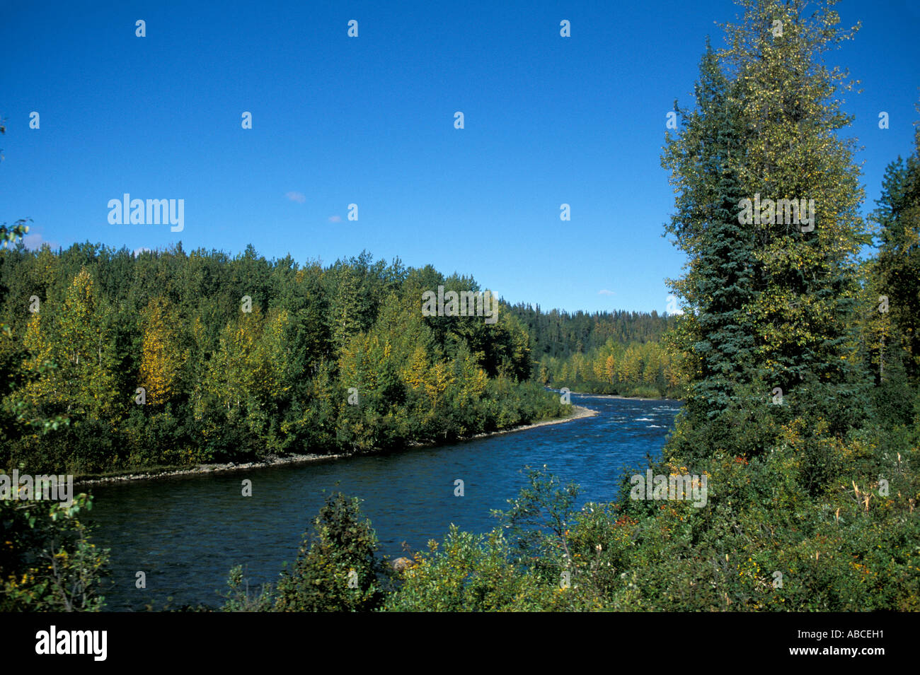 Alaska railroad fall colors trees stream scenic landscape nobody no ...