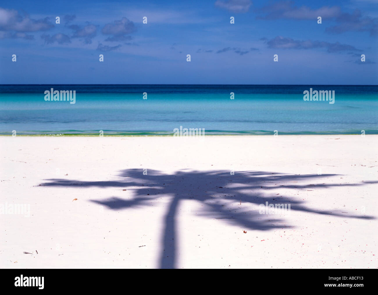 Palm tree shadow on beach hi-res stock photography and images - Alamy