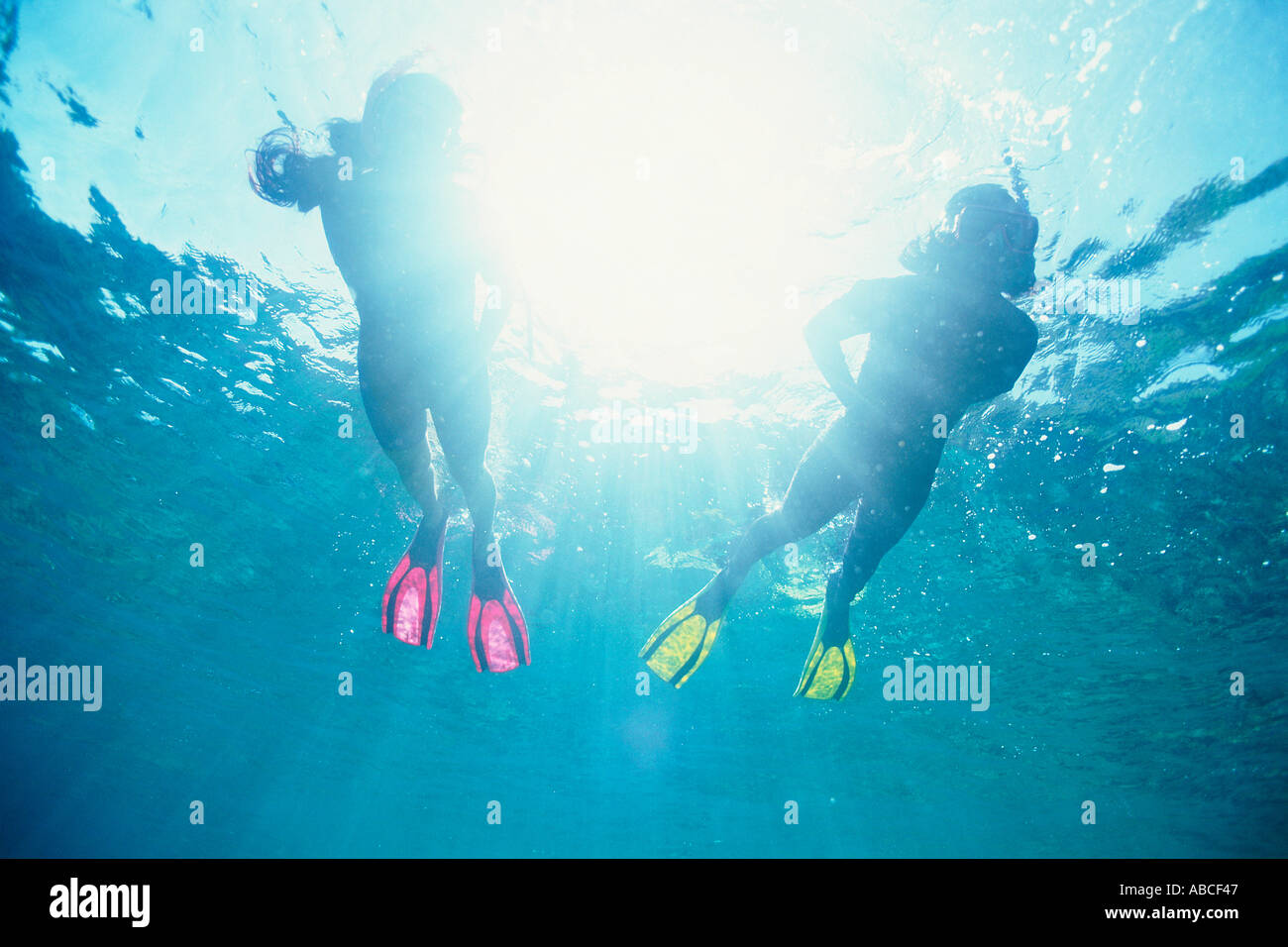 Scuba divers in sea Stock Photo - Alamy