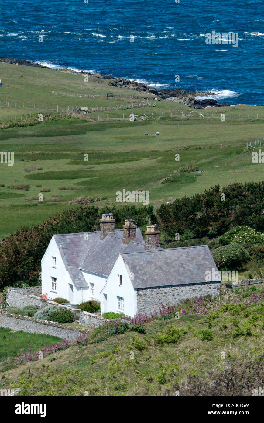 Bardsey Island house field path track Irish Sea Gwynedd Wales U K ...