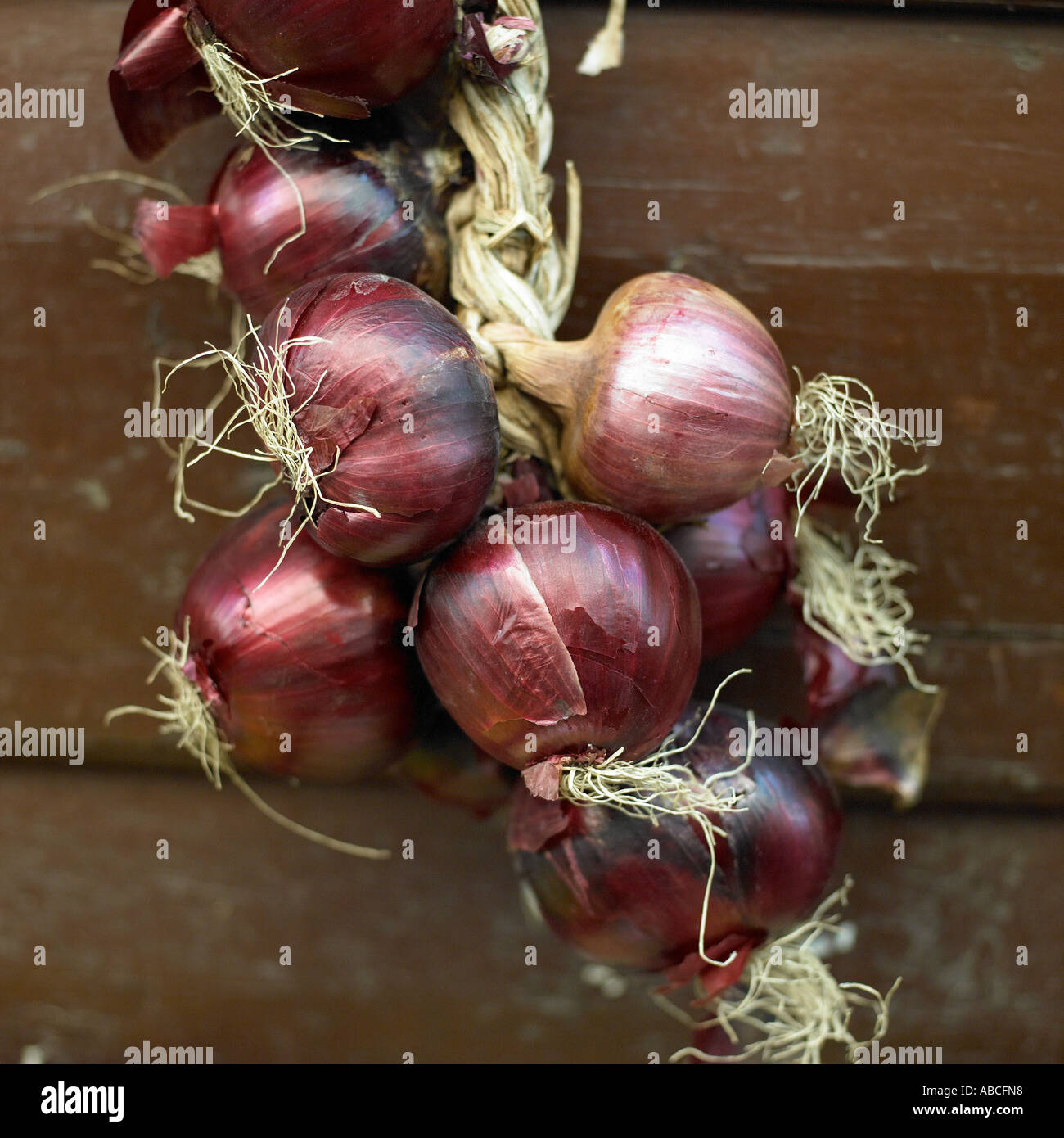 String of red onions Stock Photo - Alamy