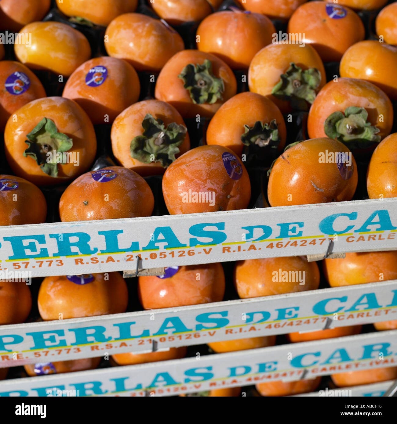 Picked persimmon hi-res stock photography and images - Alamy