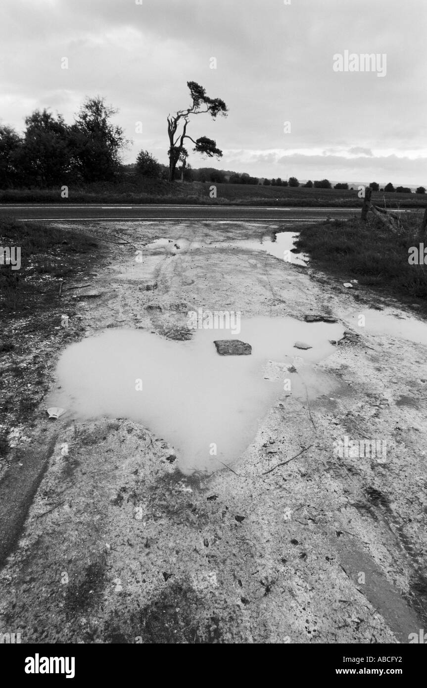 Puddle in footpath Black and White Stock Photos & Images - Alamy