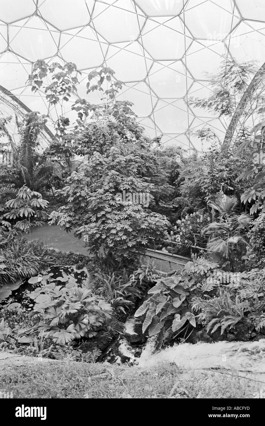 Inside eden project Black and White Stock Photos & Images - Alamy