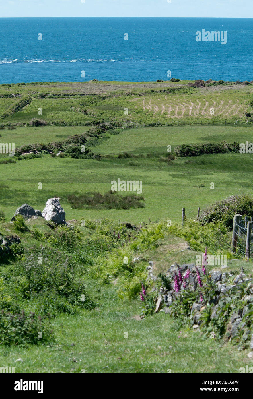 Bardsey Island house field path track Irish Sea Gwynedd Wales U K ...