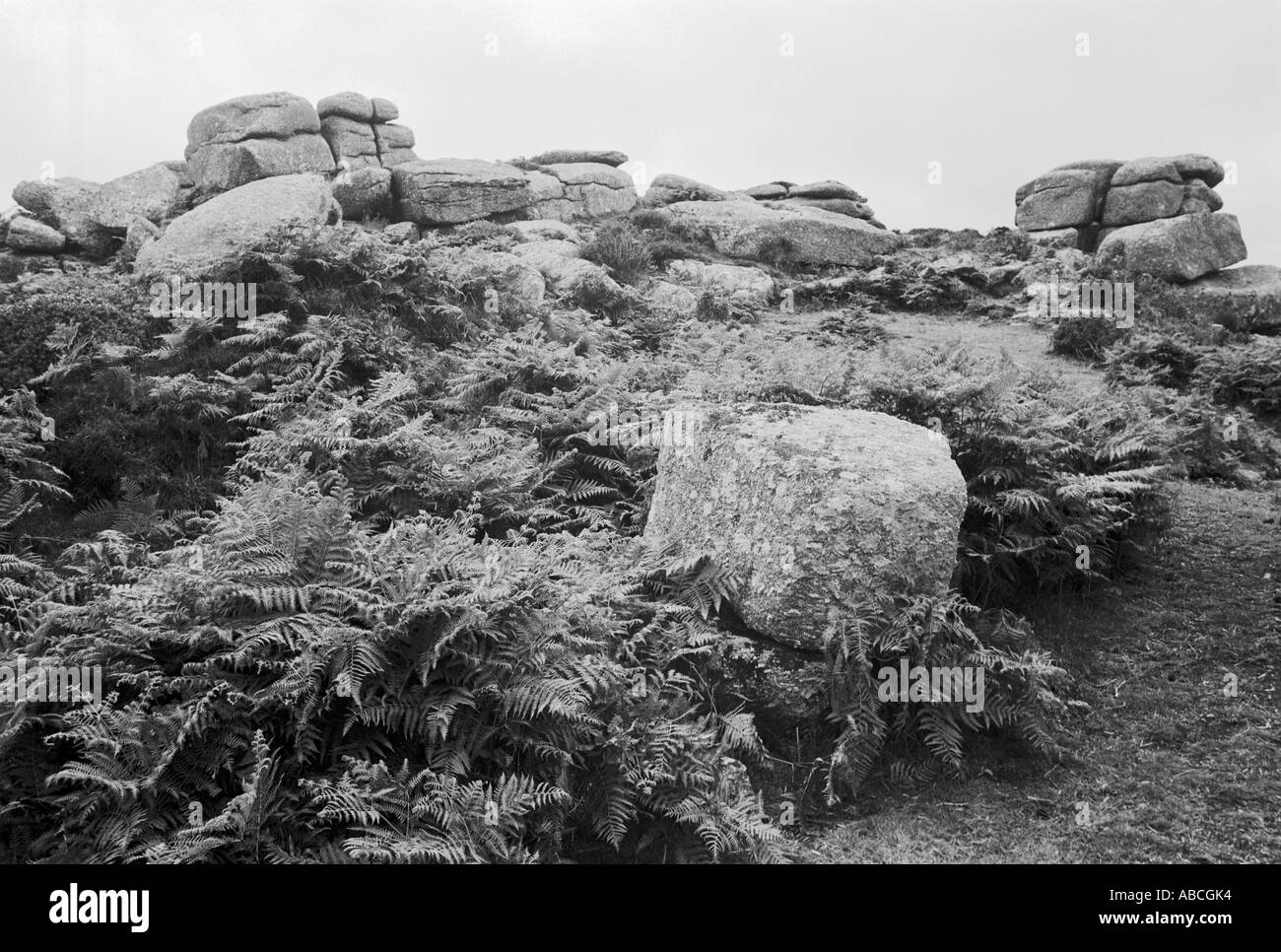 Rosewall hi-res stock photography and images - Alamy