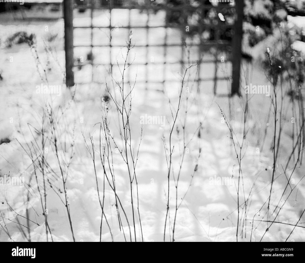 Crystal patterns Black and White Stock Photos & Images - Alamy