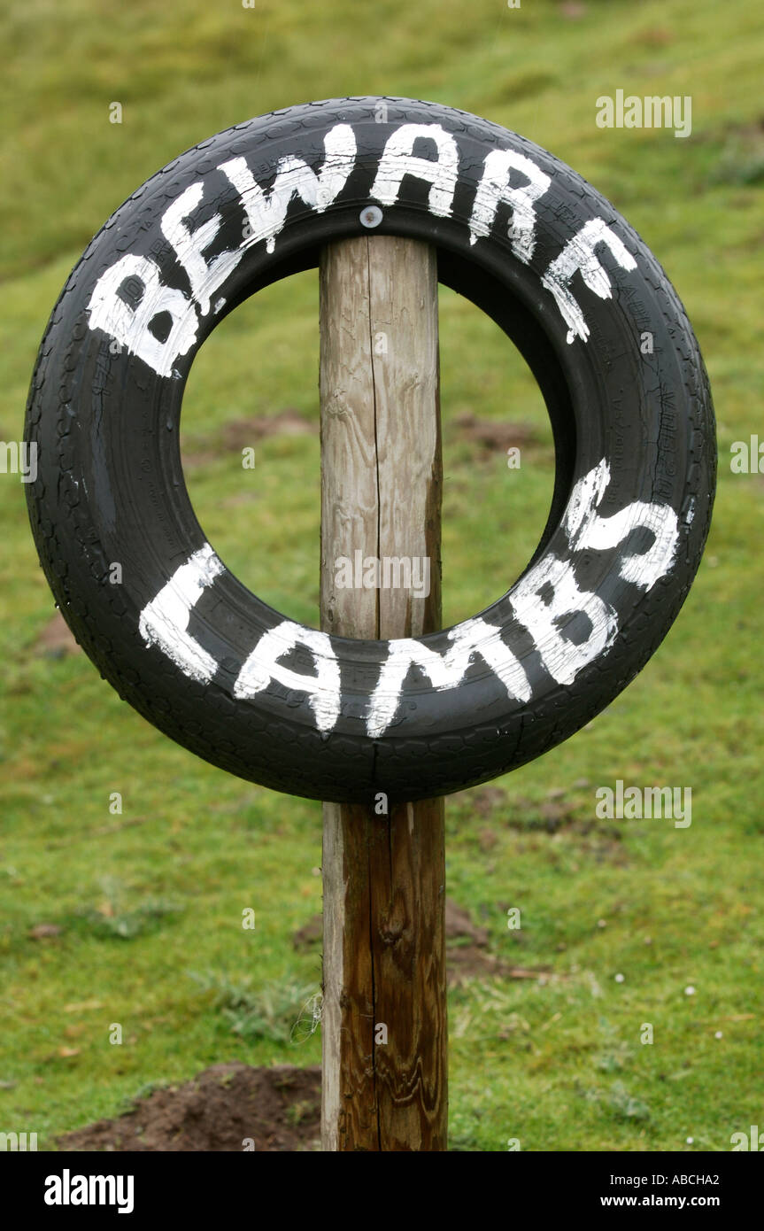 Sign warning drivers to beware of lambs in the Durham Dales, County ...