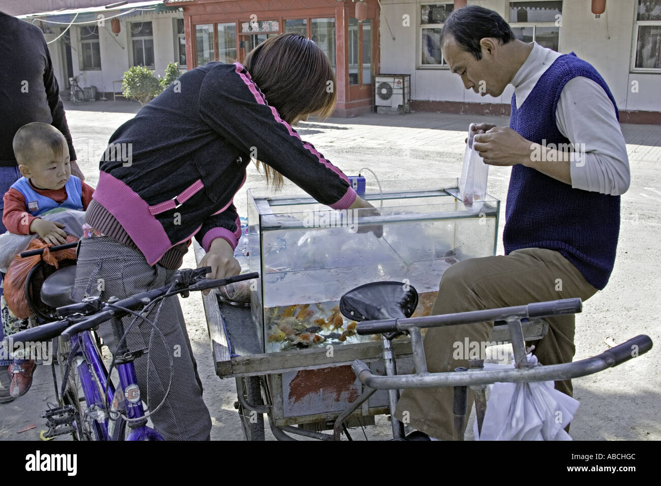 CHINA Beijing Bicycle vendor selling tropical fish from aquariums on ...