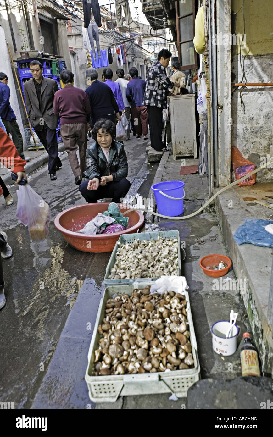 Chinese funghi hi-res stock photography and images - Alamy