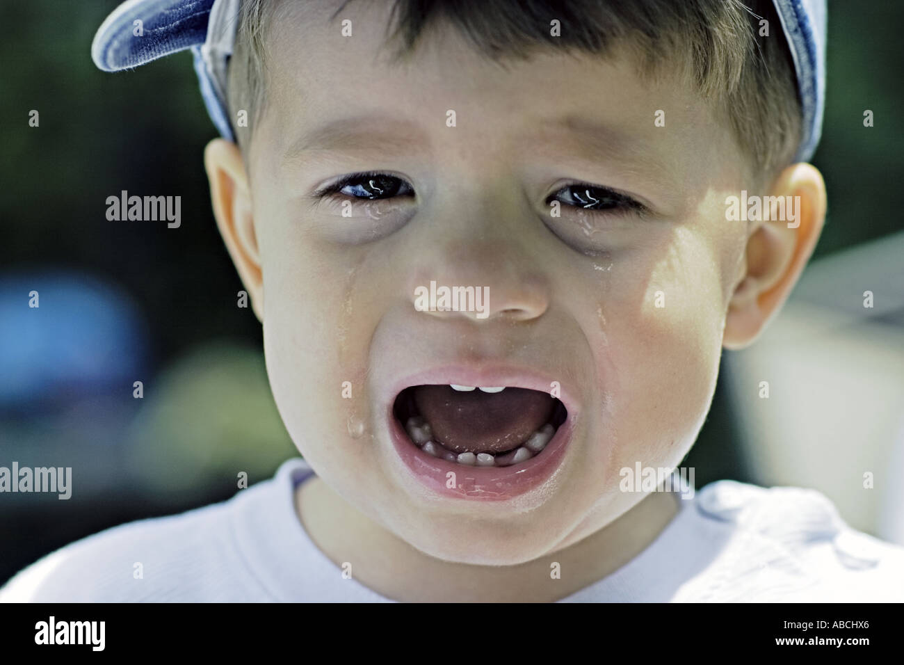 Alauaralu hi-res stock photography and images - Alamy