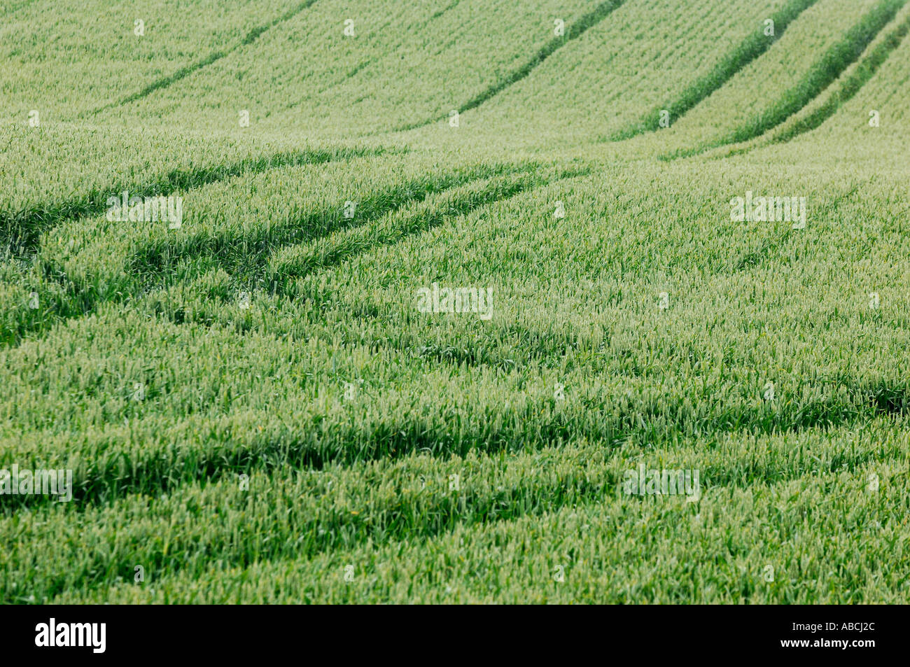 Patterns made by a tractor in a field in Northumberland, England, UK ...