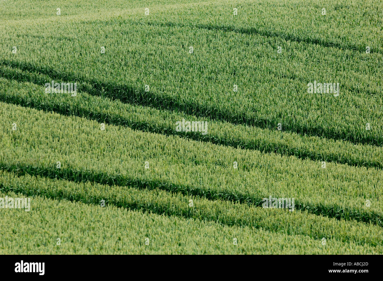 Patterns made by a tractor in a field in Northumberland, England, UK ...