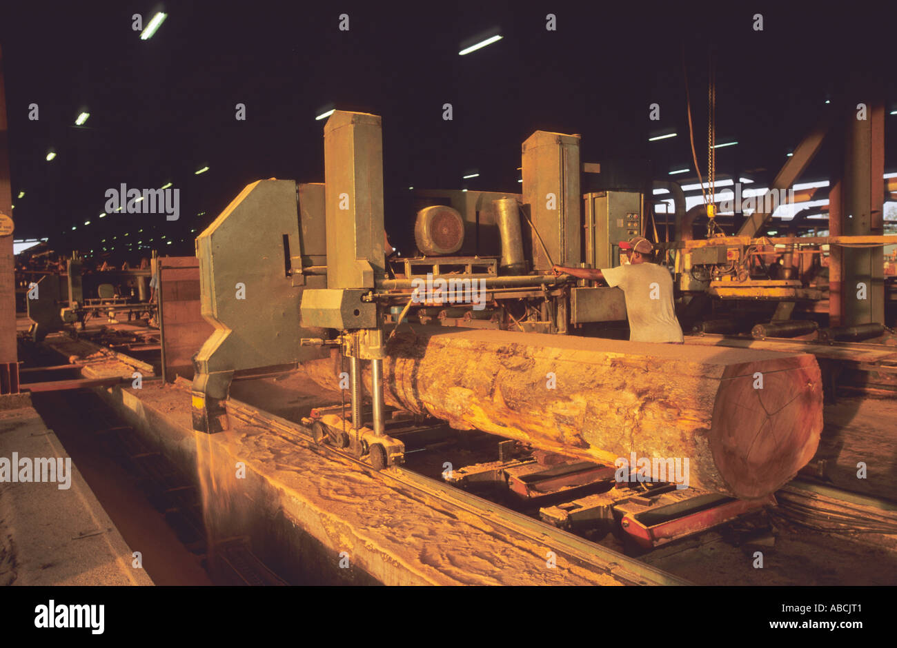 Saw mill in the rainforest sawing Sapele (African Mahogany) trees into ...