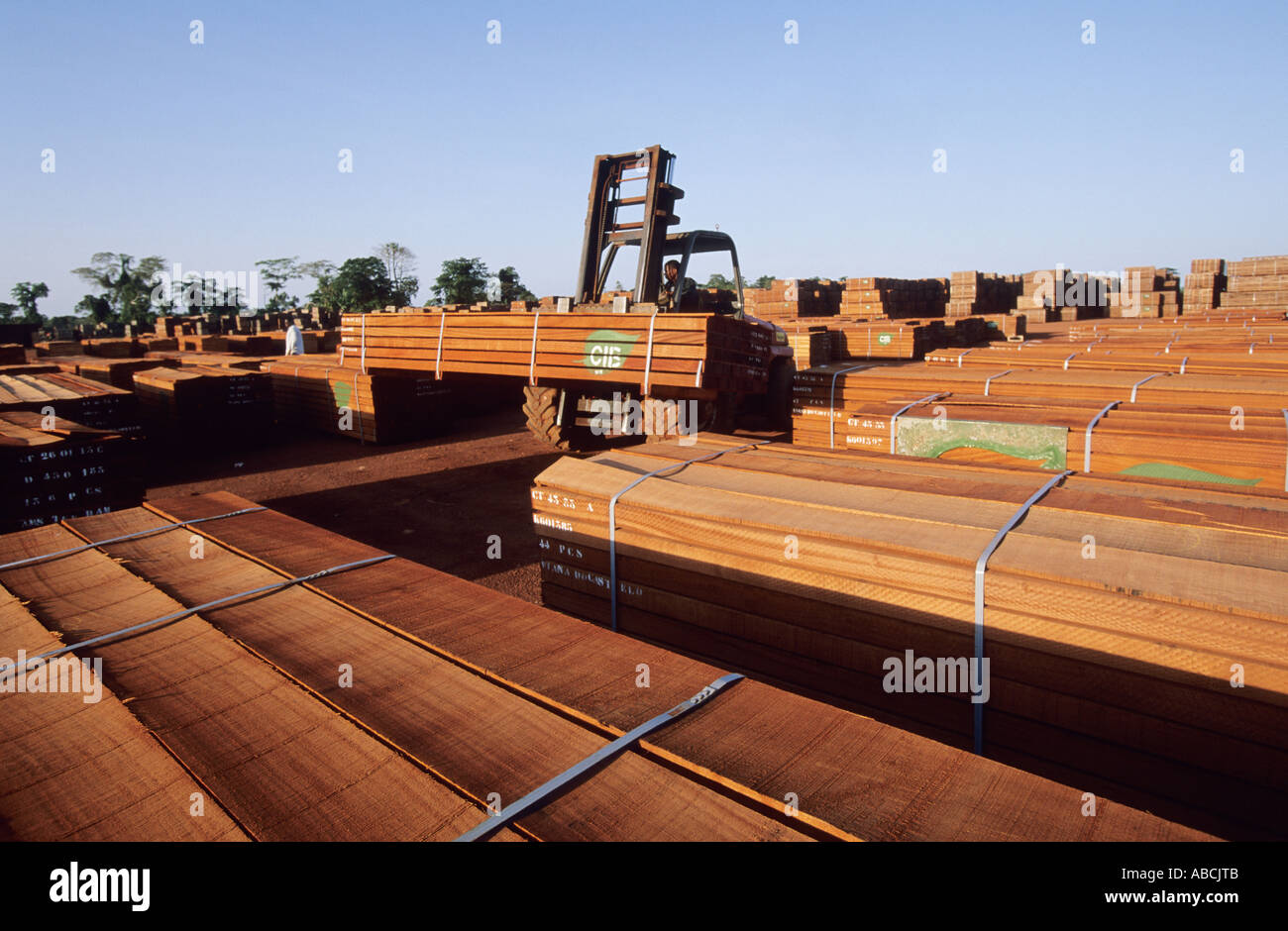 Harvested rainforest timber in the first FSC certified logging ...