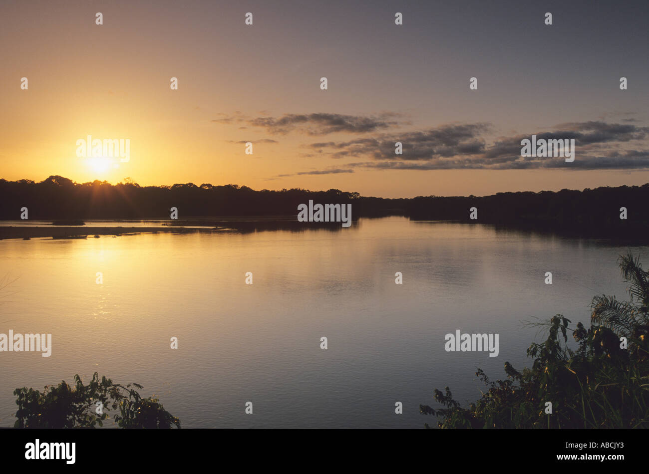 View of the Sangha River running through the rainforest and forming the ...