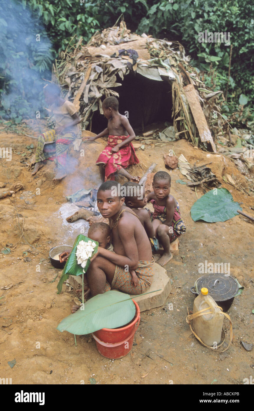 A pygmy camp in the rainforest with typical leaf shelters, Republic of ...