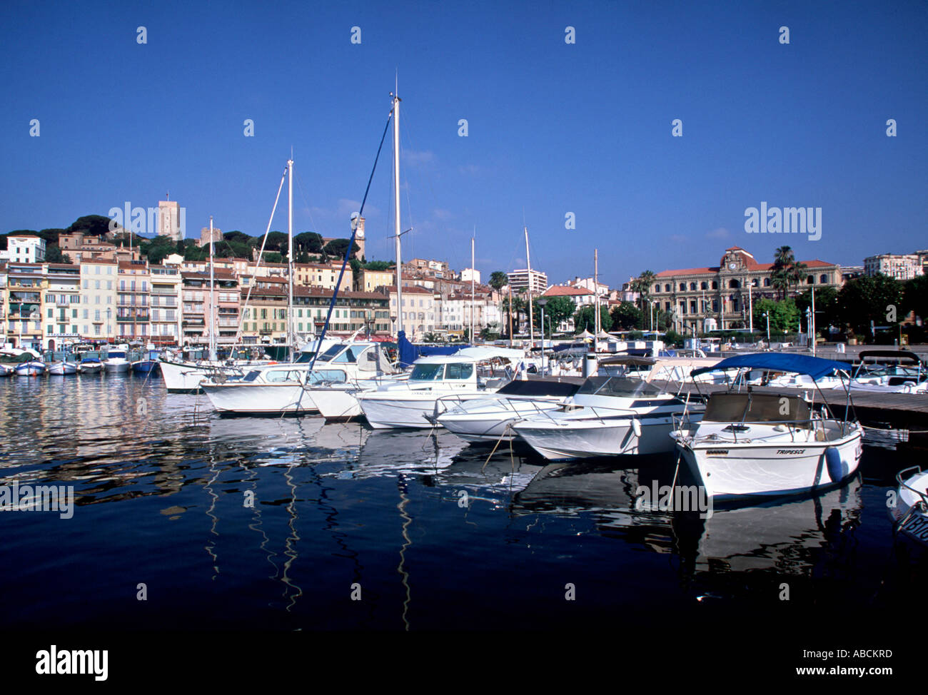Vieux Port, Cannes, Cote D'Azur, France Stock Photo - Alamy