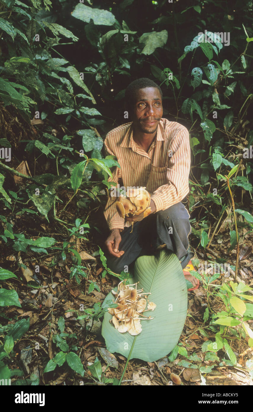 A pygmy man collecting mushrooms in the rainforest of the Republic of ...