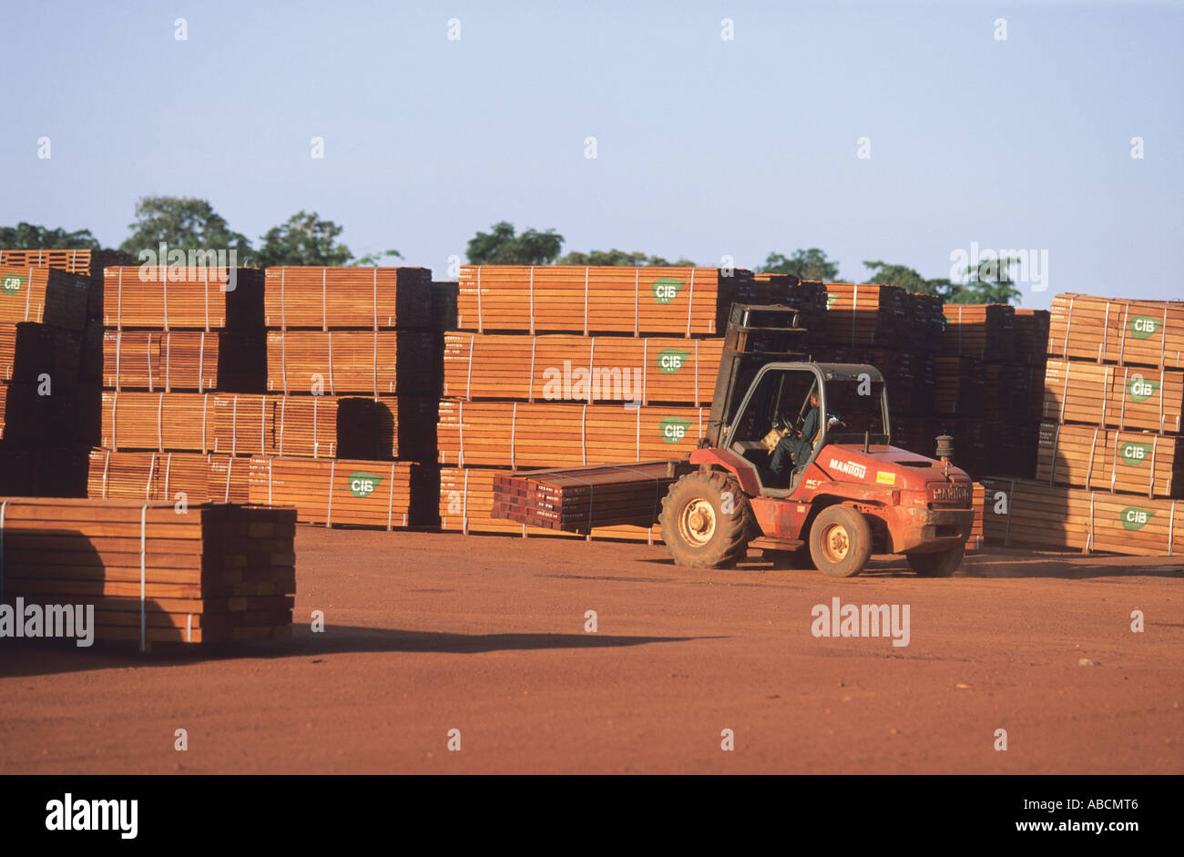 African logging operation hi-res stock photography and images - Alamy