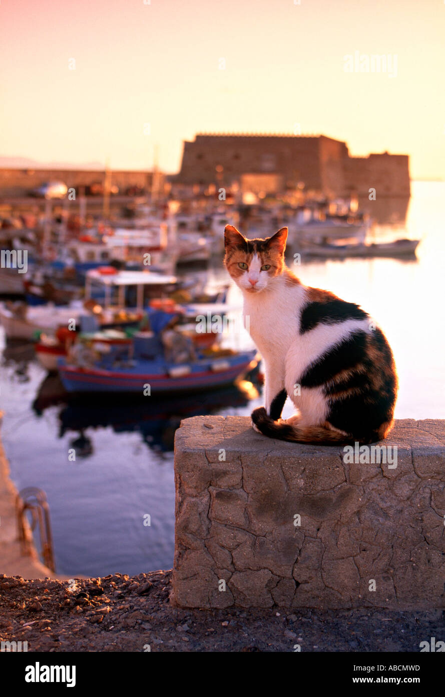 Heraklion iraklion crete greece hi-res stock photography and images - Alamy