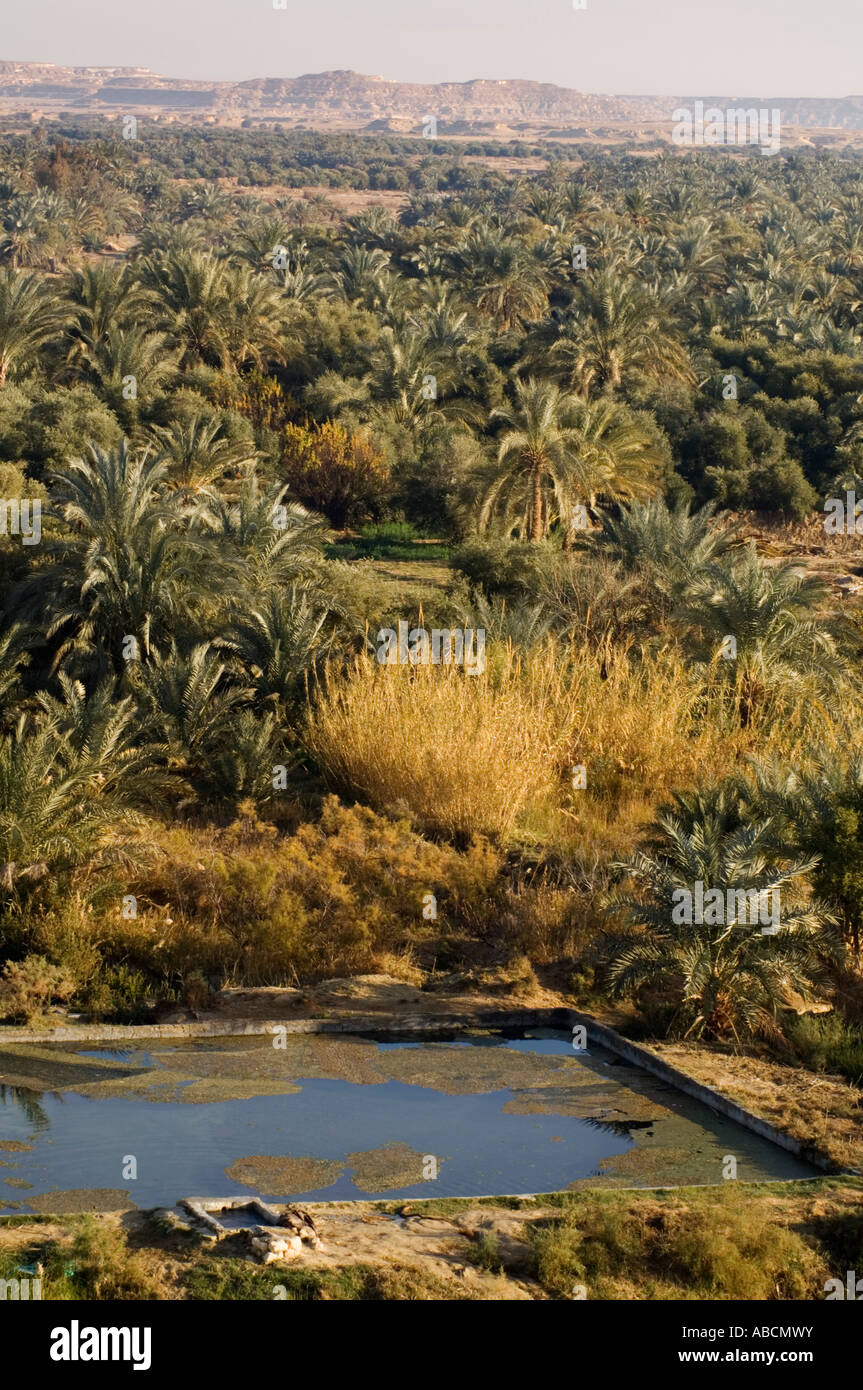 Egypt arab spring hi-res stock photography and images - Alamy
