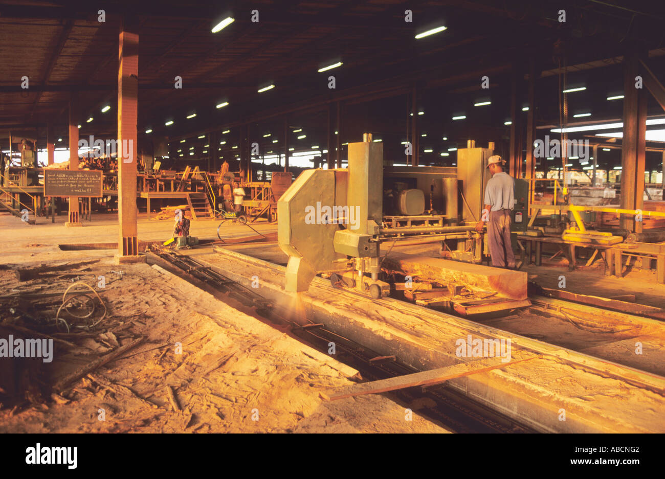 Harvested rainforest timber in the first FSC certified logging ...