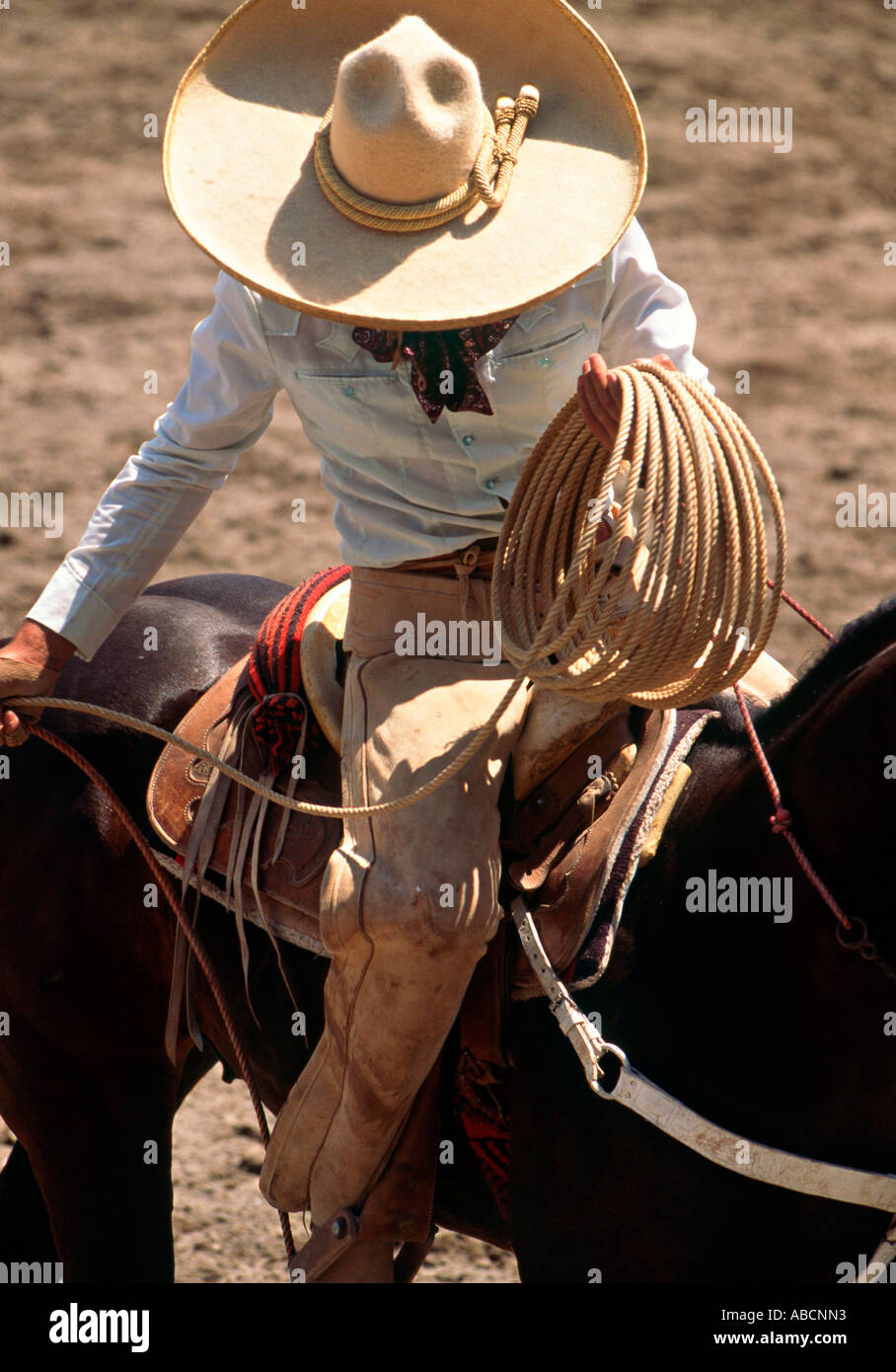Cowboy, Mexican rodeo, Hidalgo, Mexico Stock Photo - Alamy