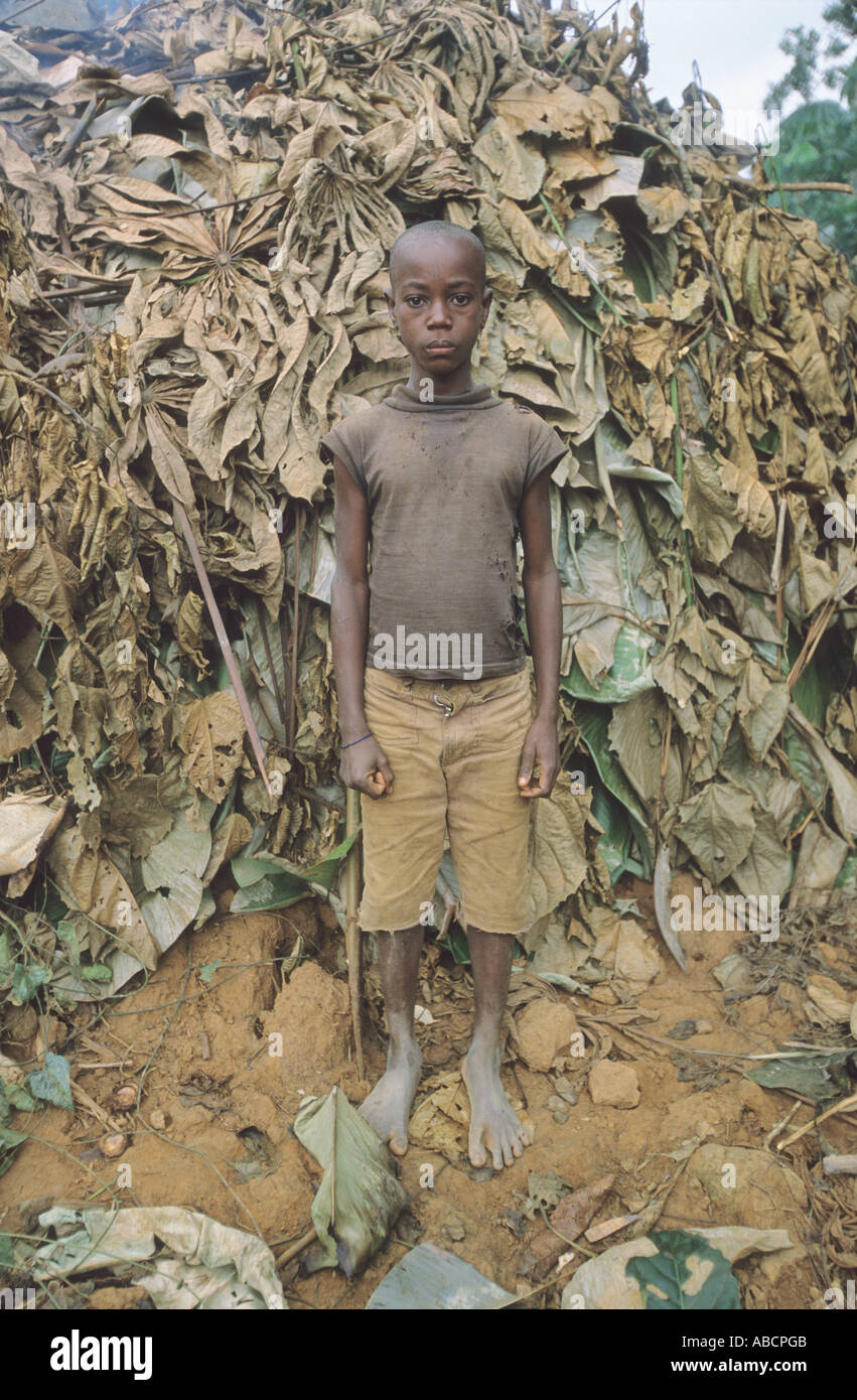A Baka pygmy child by a temporary leaf houses in the rainforest of ...
