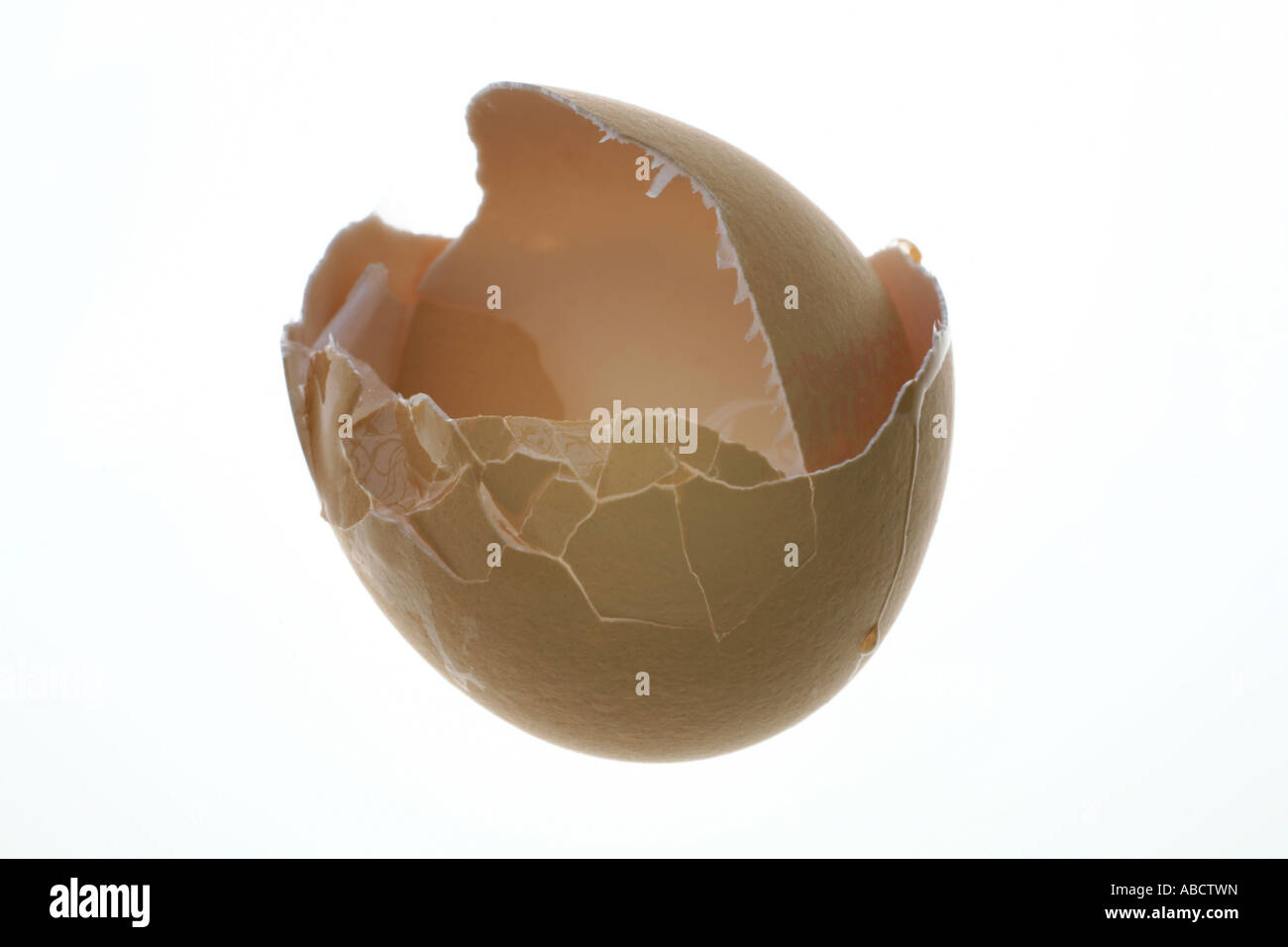 Broken egg shells hi-res stock photography and images - Alamy