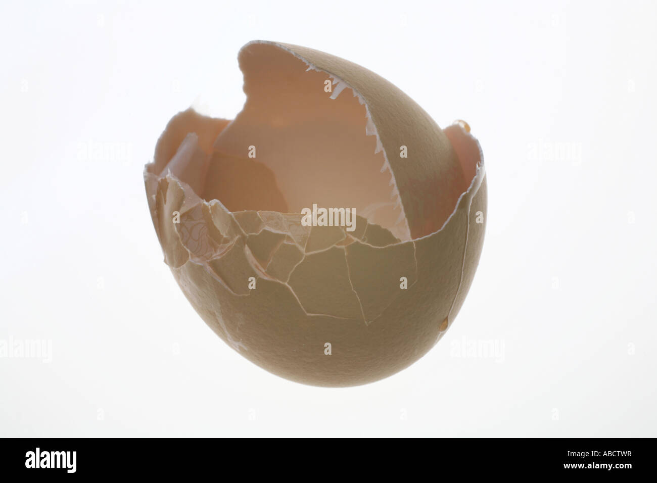 Egg shells hi-res stock photography and images - Alamy