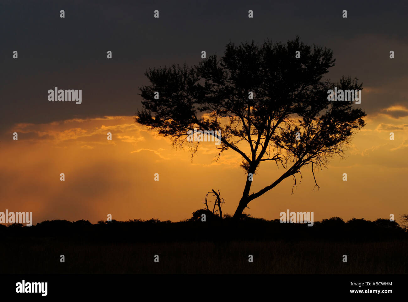 Sunset sun setting African sunset end of day close of the day natural ...
